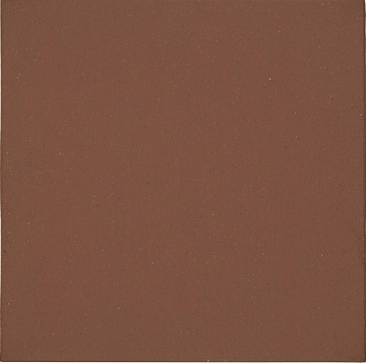 Daltile Quarry Textures Diablo Red 8x8 Abrasive